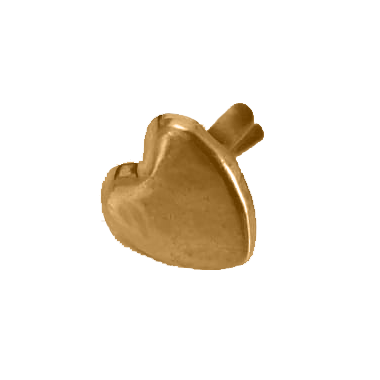 Splitpennen-hartvormig